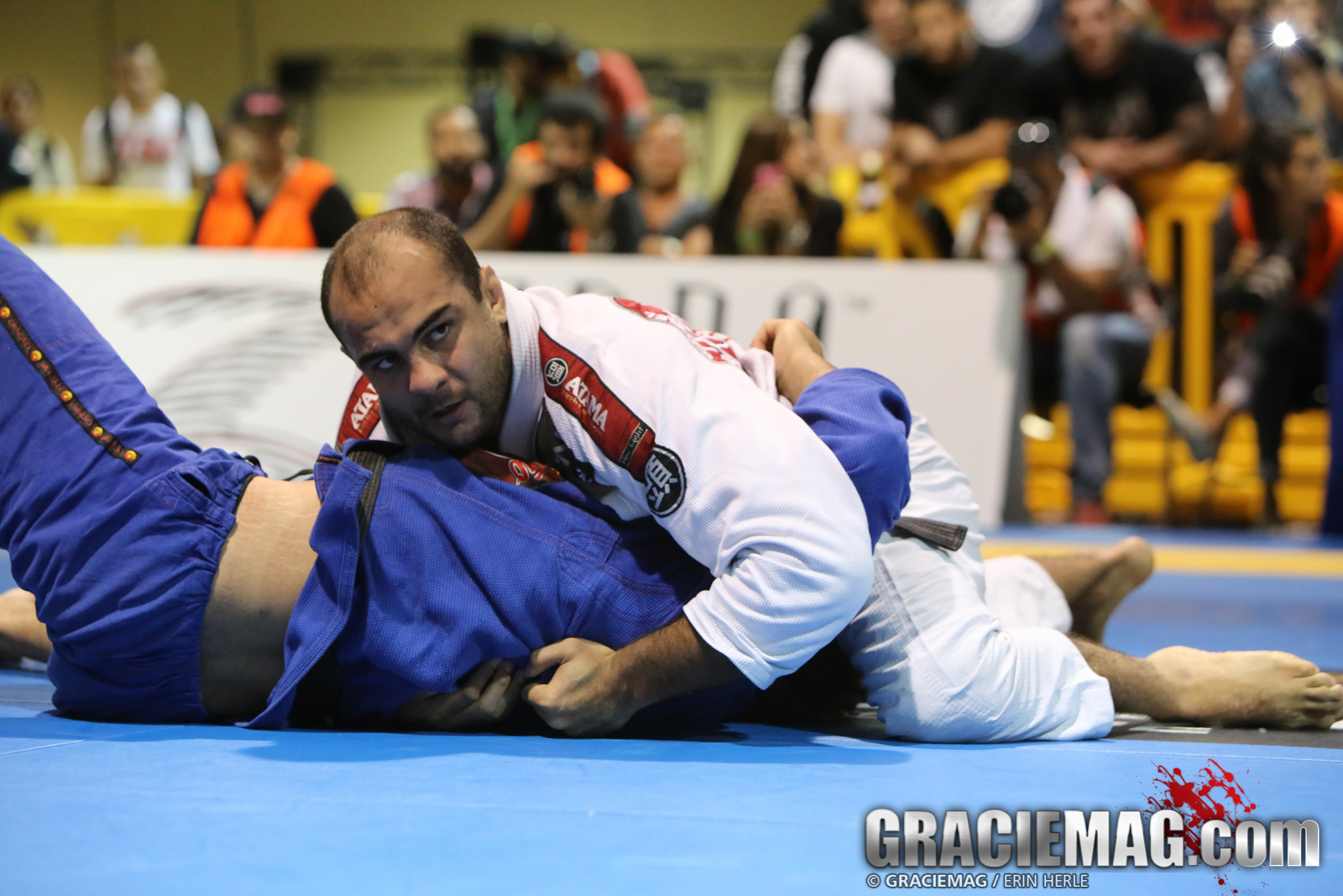 Ce que croit Bernardo Faria fera de vous un expert en Jiu-Jitsu - MMA ...