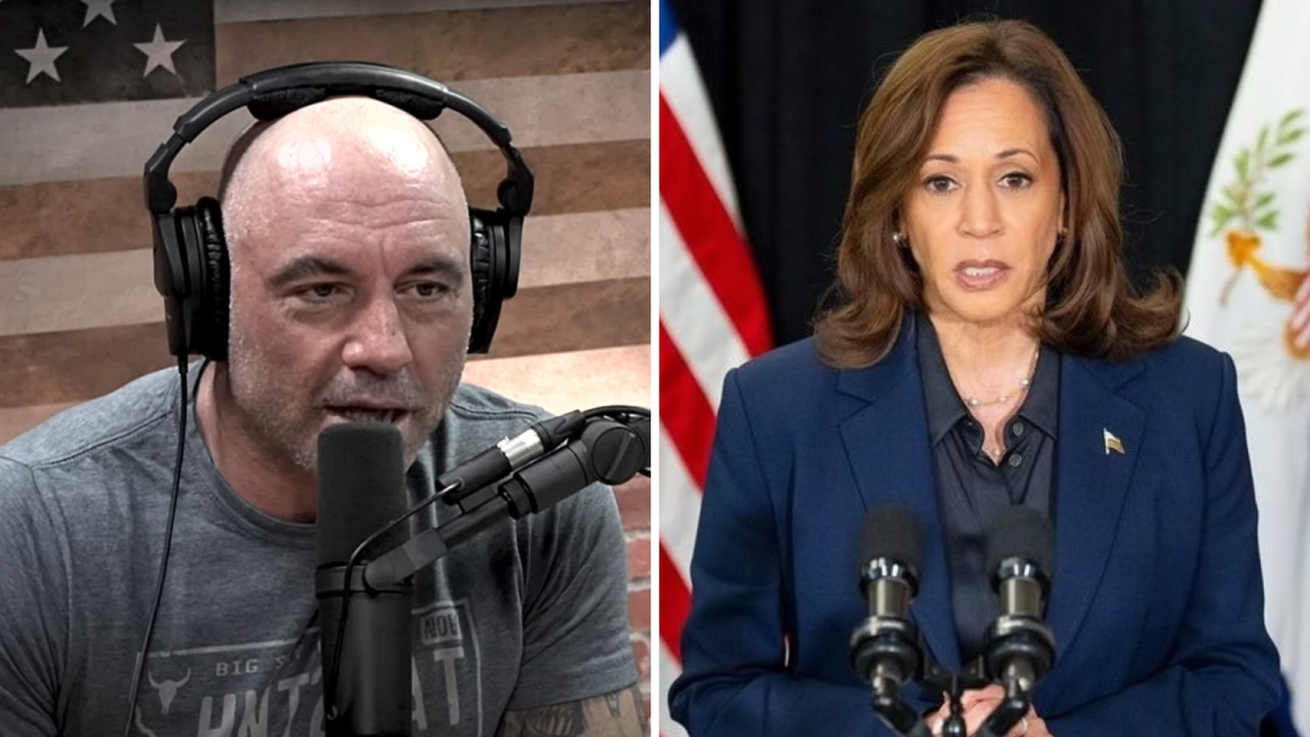 Joe Rogan explique pourquoi Kamala Harris n'a pas fait son émission ...