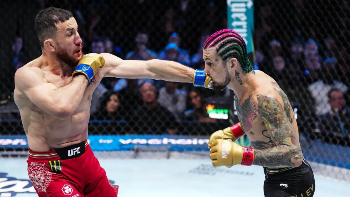 Regardez Merab Dvalishvili Dethrone Sean O'Malley | Vidéo de lutte ...